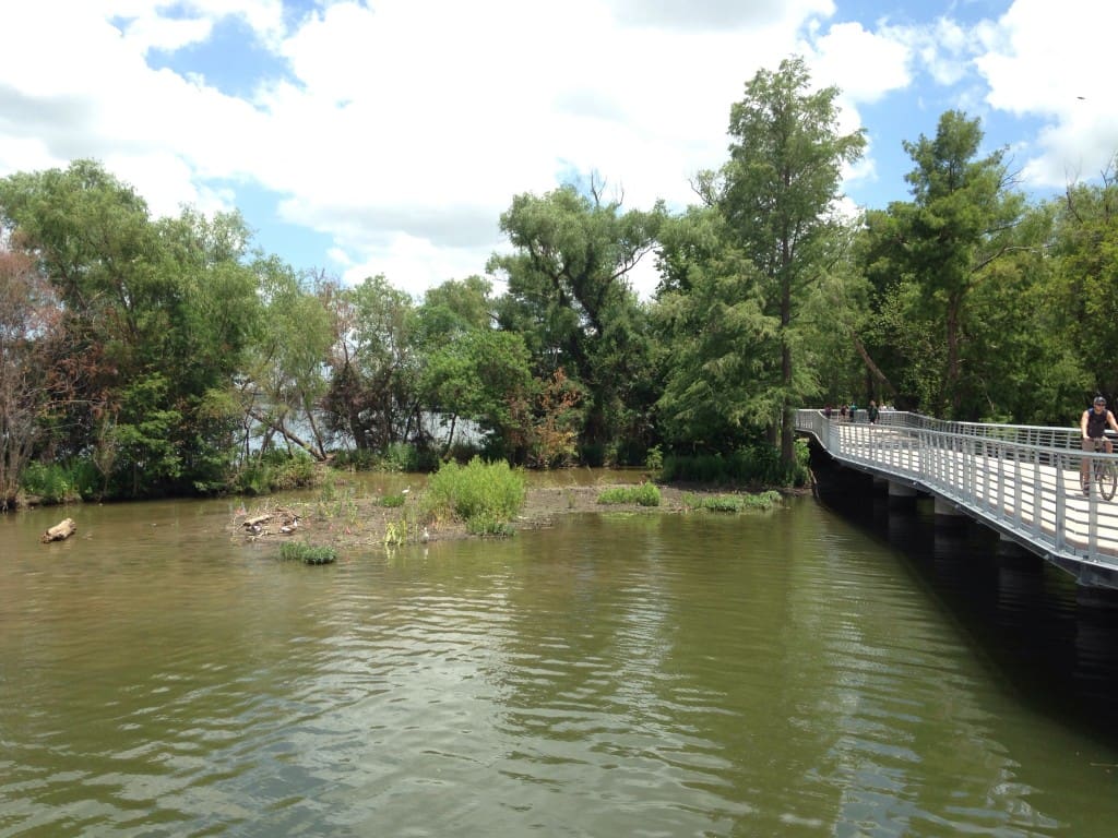 Blunn Creek Ecological Restoration - The Trail Conservancy